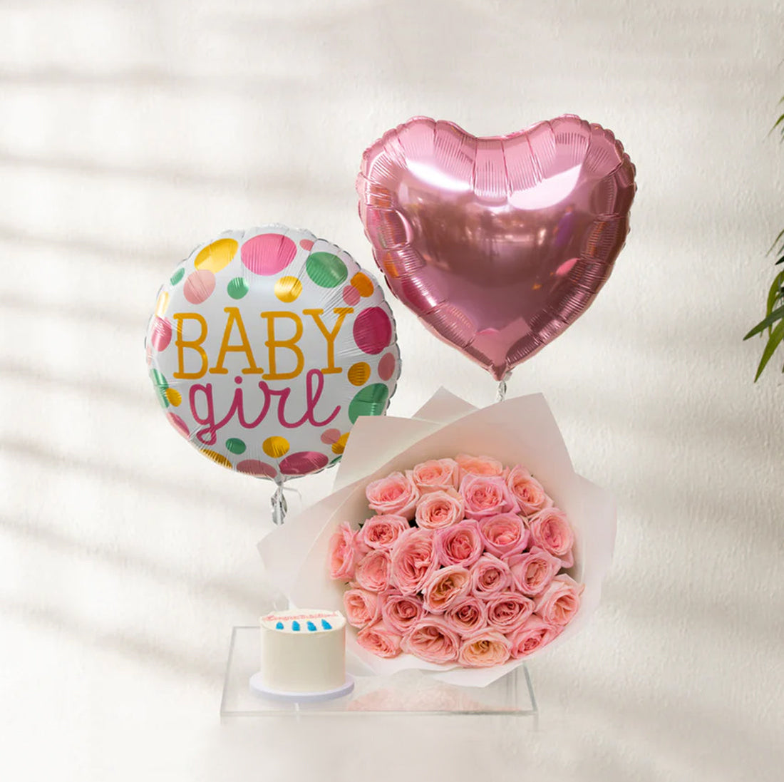 All Type Cakes – Plantaflora