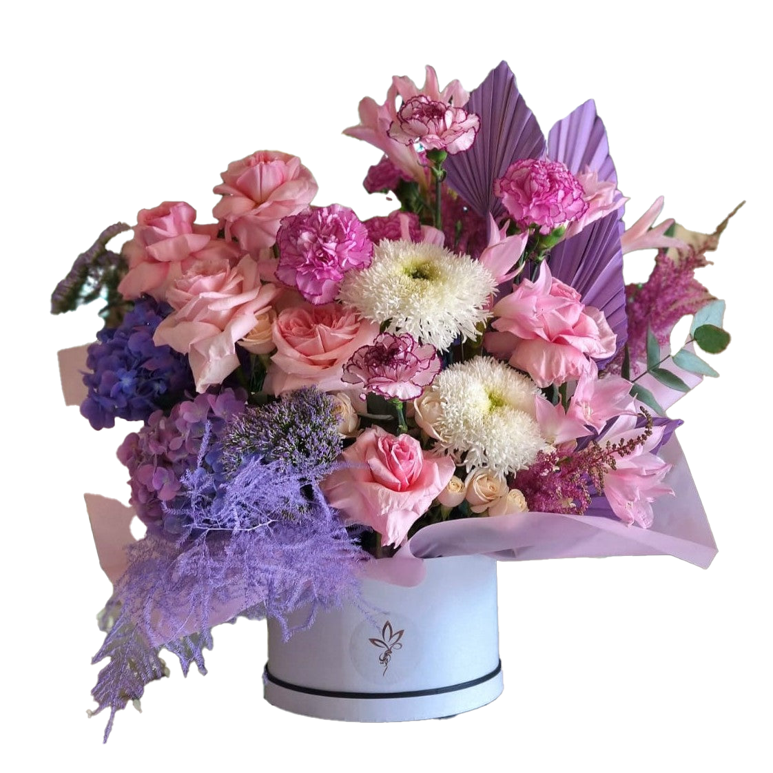 Ariel box – Plantaflora Store