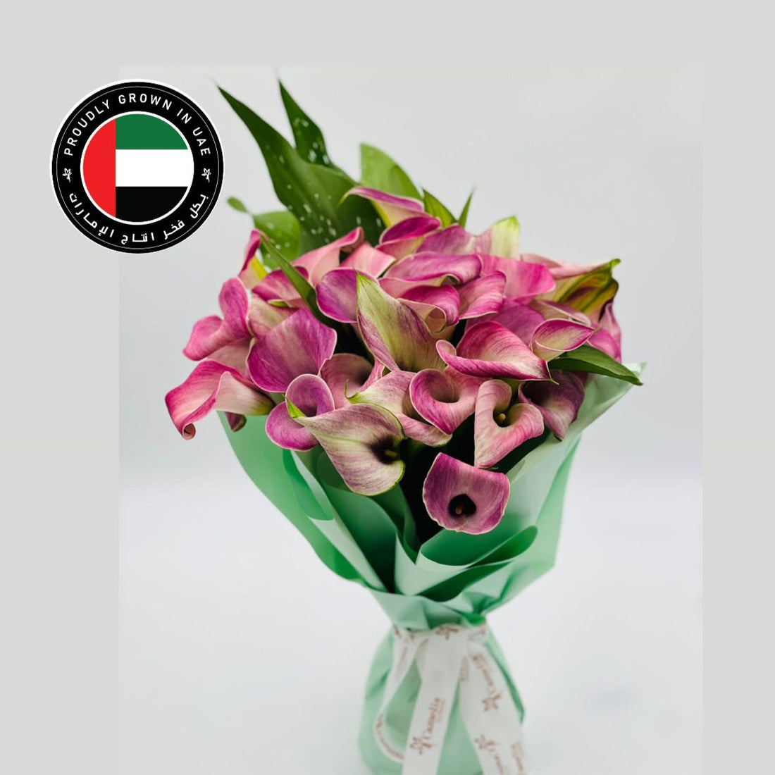 New Arrivals – Plantaflora